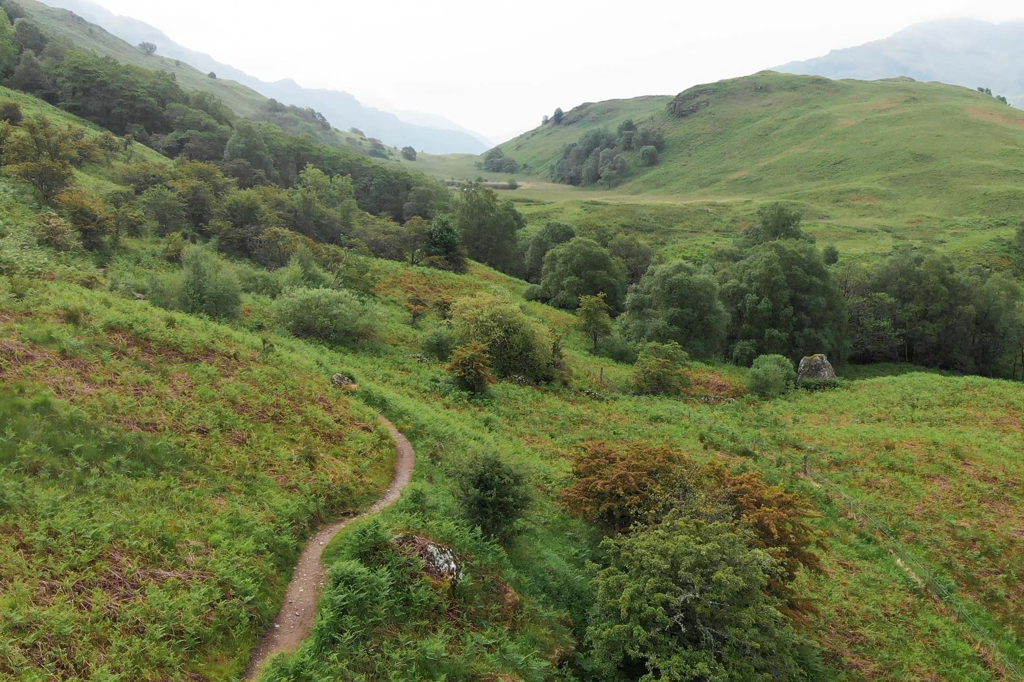 Producing the sound of Lectio 365 - Lectio 365